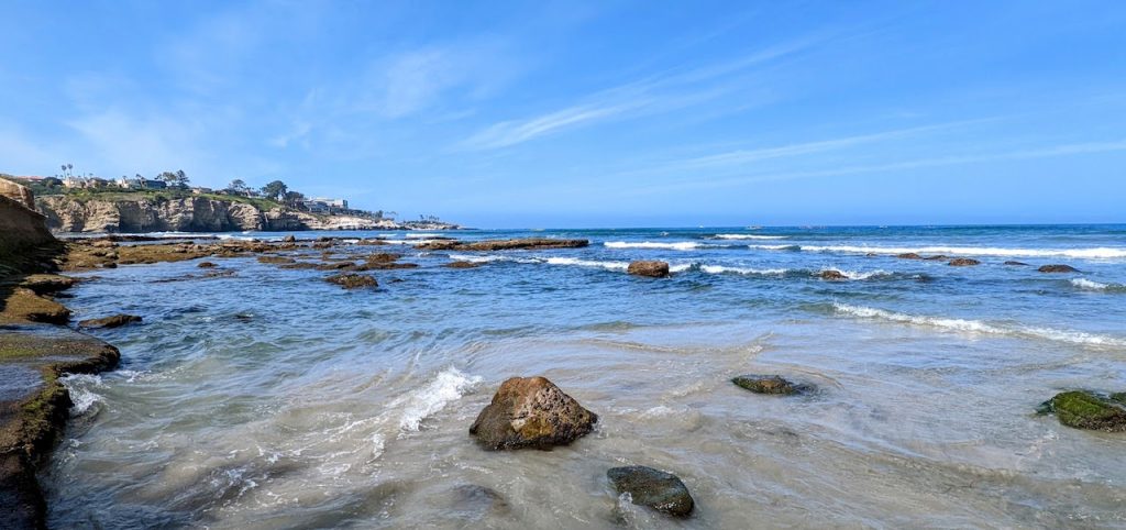 10 Exciting San Diego Tide Pools To Explore - San Diego Explorer