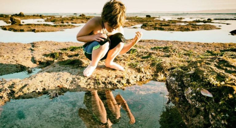 10 Exciting San Diego Tide Pools To Explore - San Diego Explorer