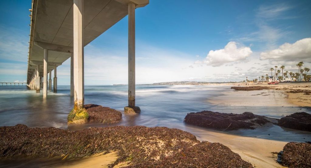 10 Exciting San Diego Tide Pools To Explore - San Diego Explorer