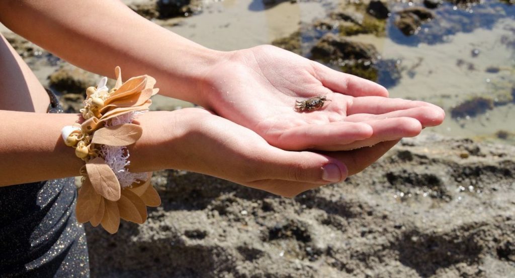 10 Exciting San Diego Tide Pools To Explore - San Diego Explorer